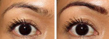 Best Eyebrow Powder – Tips, How to Apply, Use and Choose Brow Powders ...